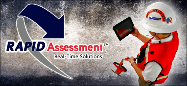 Rapid Assessment – SynergyFMIT