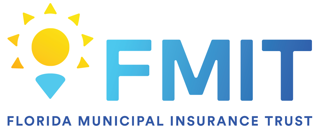 About Us – SynergyFMIT